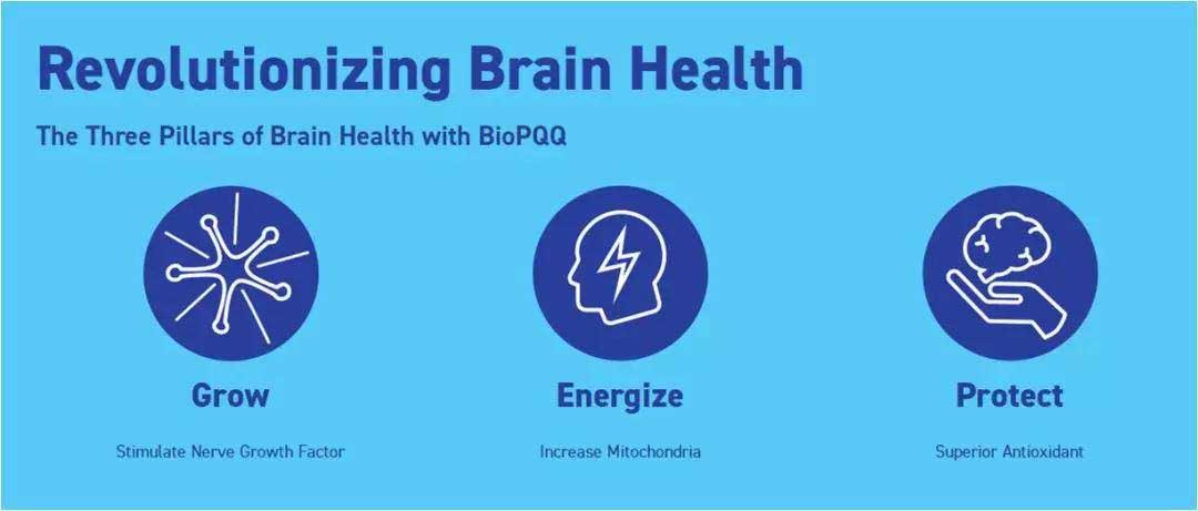 The Versatile Applications of PQQ – sheerherb