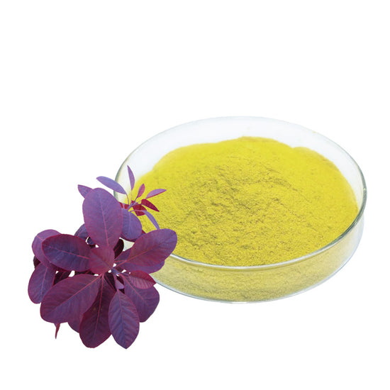 Natural Pure Fisetin Powder Manufacturer & Suppliers – sheerherb