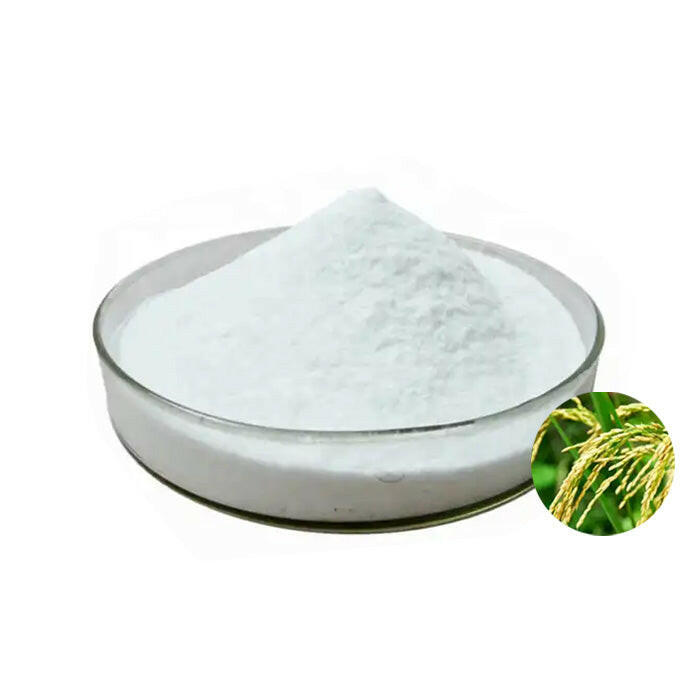 Ceramide Powder Manufacturer & Suppliers – sheerherb